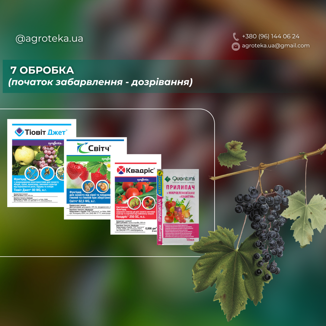 Купити 7-а обробка винограду nab-vy-8 в інтернет магазині Agroteka